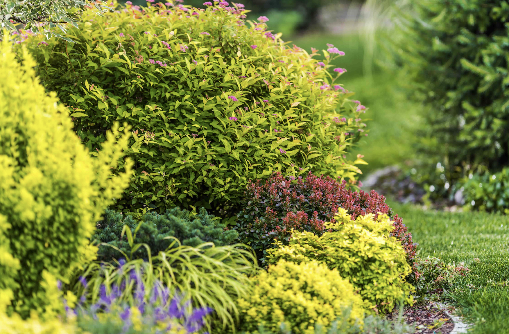 Plants – Practical Plants | Every Plant. One Supplier.